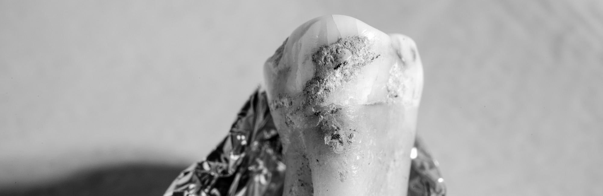 Paleobiotechnology – Warinner Group